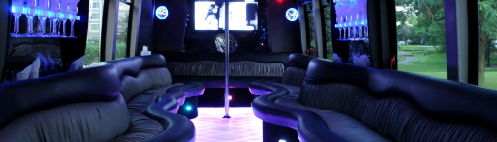 Party Bus Cape Town | Party Bus Hire and Services in Cape Town